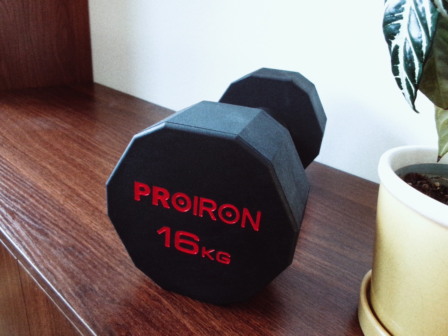【運動不足解消＆理想の体型へ】初心者に最適なPROIRON 16kgダンベルで自宅筋トレ習慣を始めよう！｜Track 02